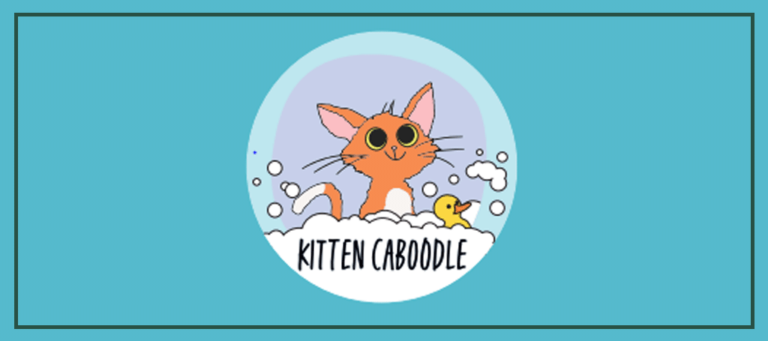 5 Canberra Groomers for Your Cat's Best Look (Trust Us!) [2026]