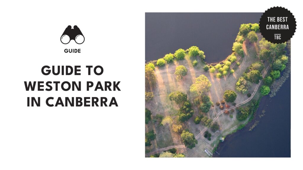 How Locals Enjoy a Sunny Day at Weston Park in Canberra