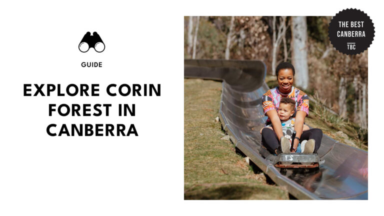 Your ultimate adventure guide to Corin Forest