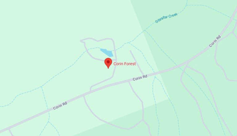 Your ultimate adventure guide to Corin Forest