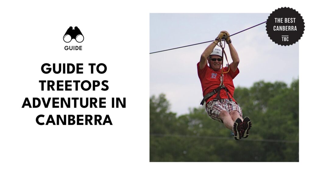 A family-friendly guide to Treetops Adventure in Canberra