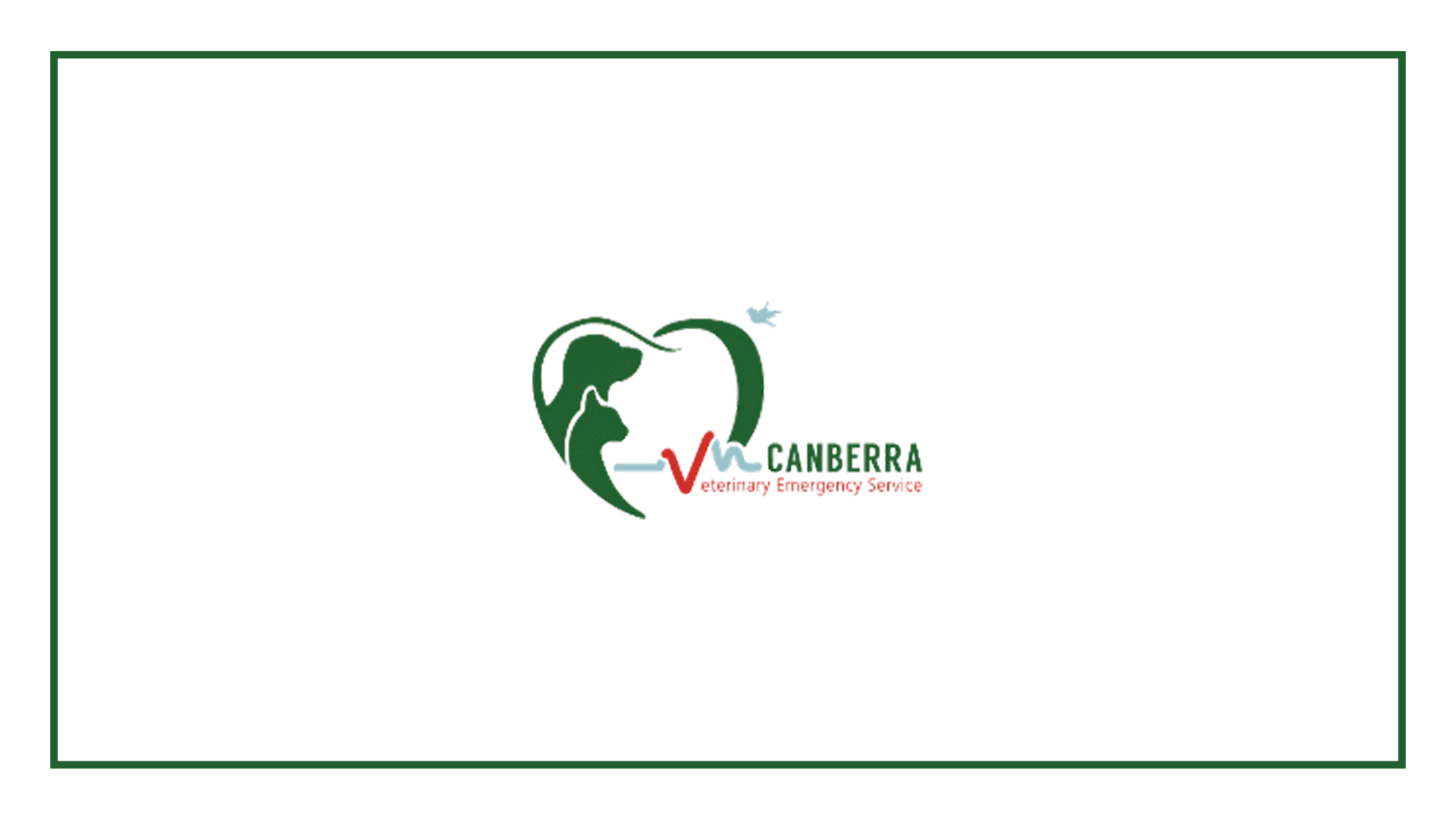 Canberra’s top 5 veterinarians that pets and humans love [2026]